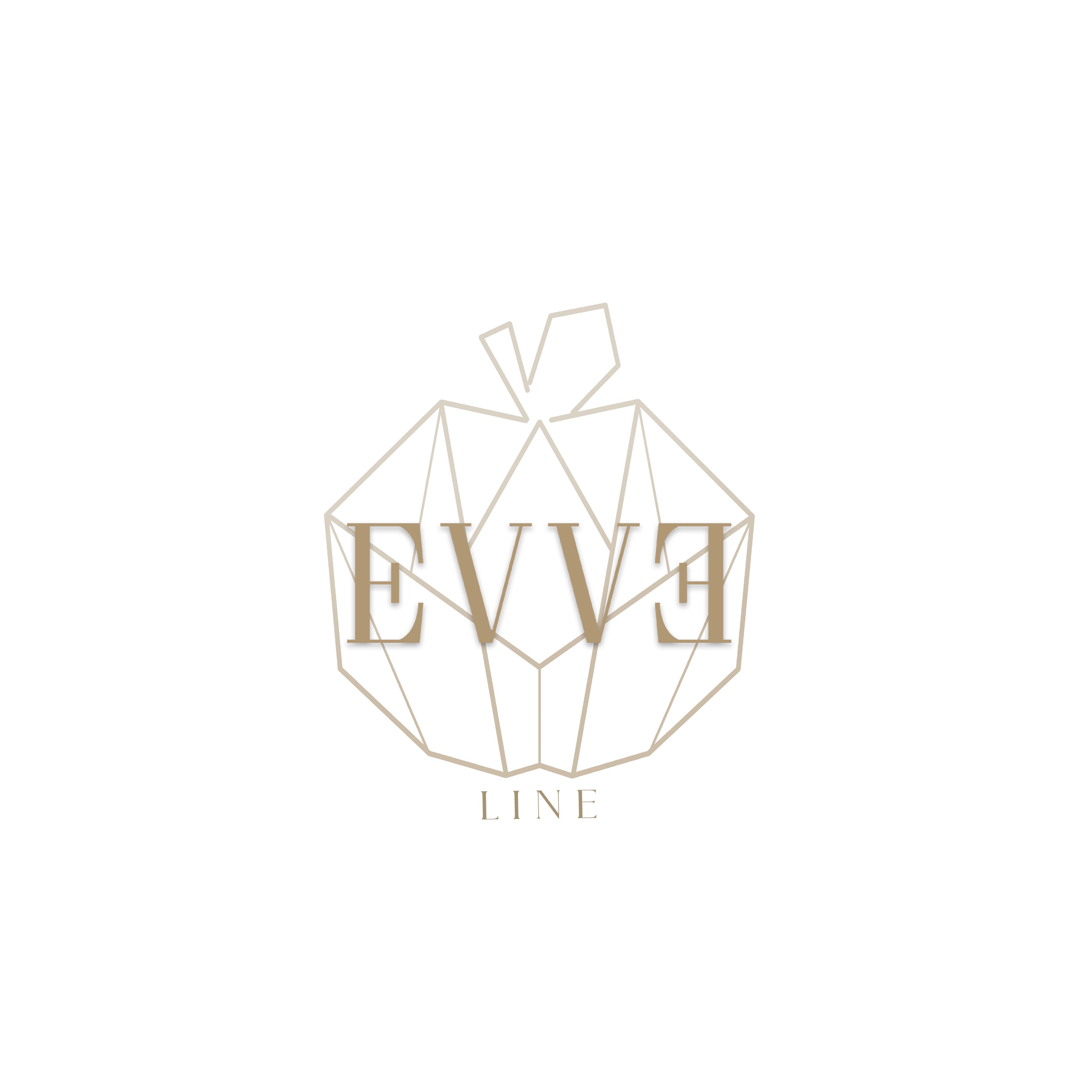 Contact – Evve Line